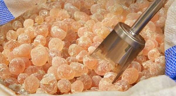 فوائد المستكة .. نكهة لذيذة وفوائد صحية وجمالية – وكالة أوقات الشام ...