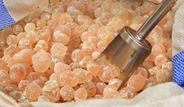 فوائد المستكة .. نكهة لذيذة وفوائد صحية وجمالية - وكالة أوقات الشام ...